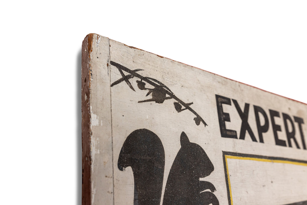 Taxidermy – Adirondack-Store-And-Gallery-Inc